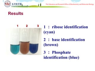11 Biochemistry _ | PPT