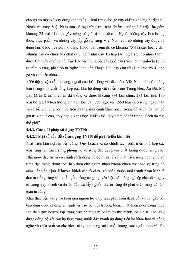 Tieu luan kinh te cua thay nam | DOC