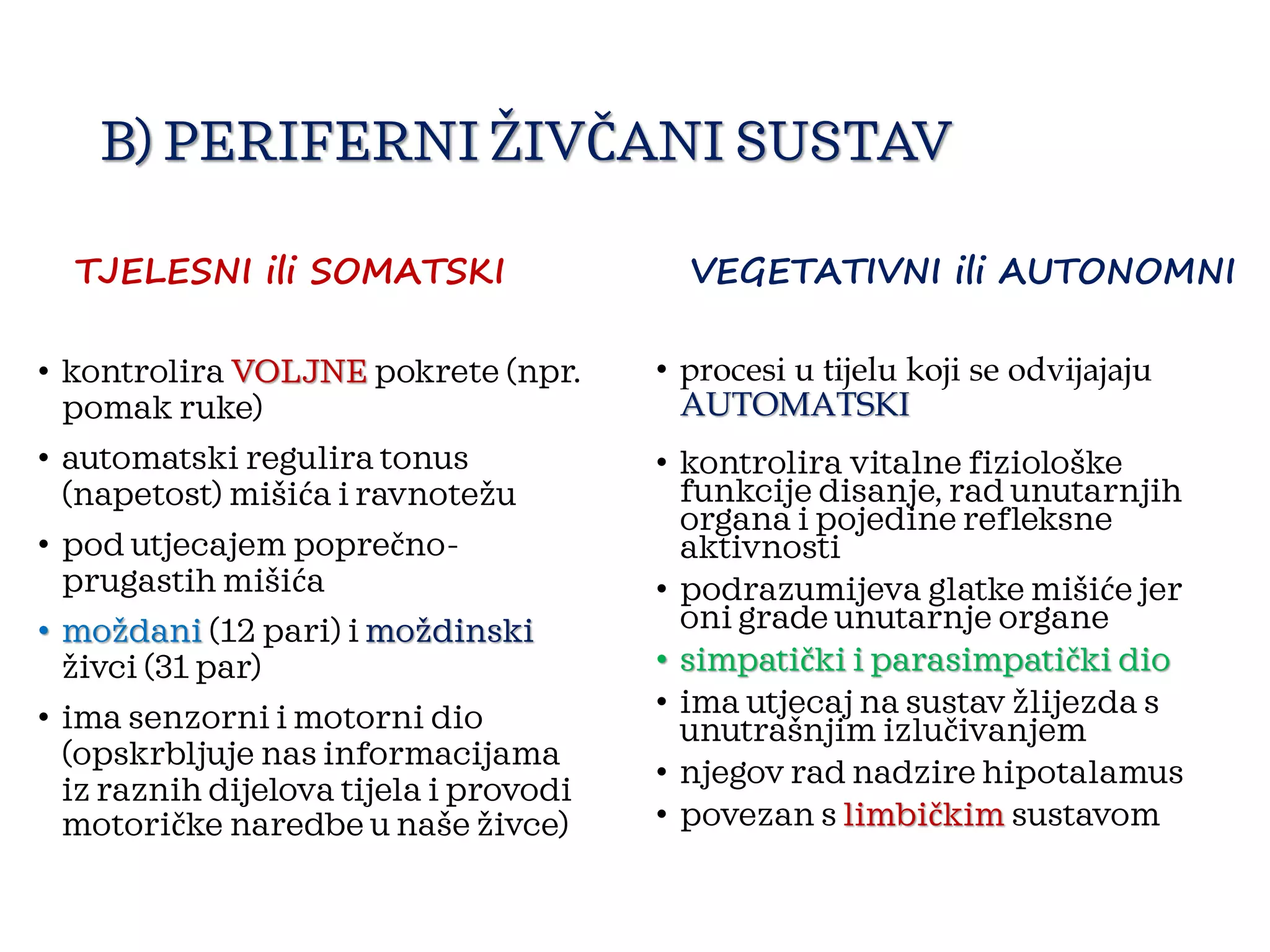 7 Zivcani sustav.pdf