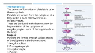 Hemopoiesis.pptx
