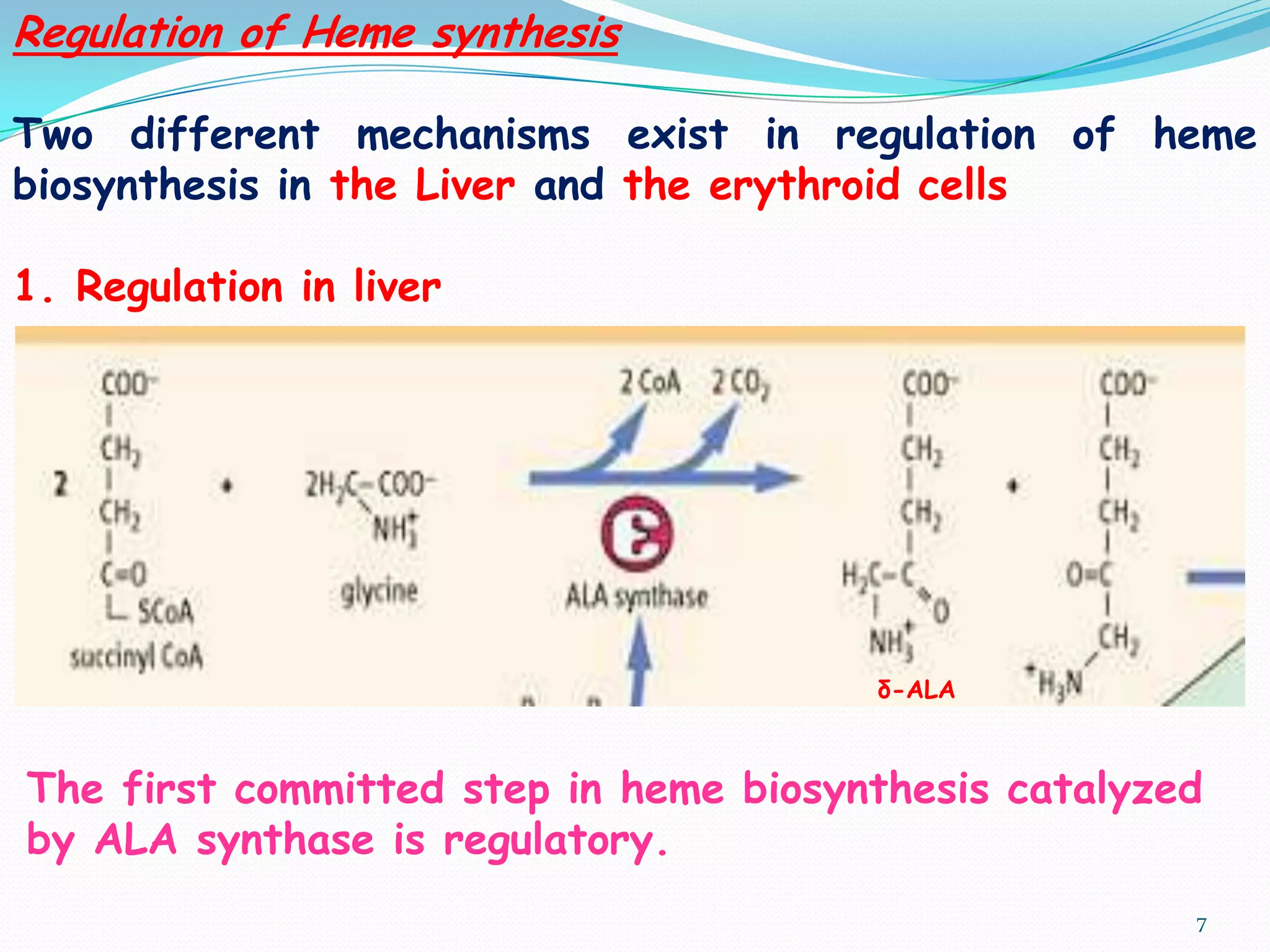 Heme metabolism dental2012 | PPTX