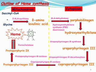 Heme metabolism dental2012 | PPTX