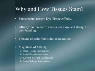 Theory_of_Staining.ppt