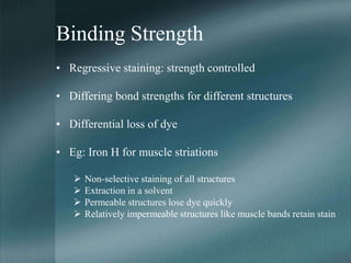 Theory_of_Staining.ppt