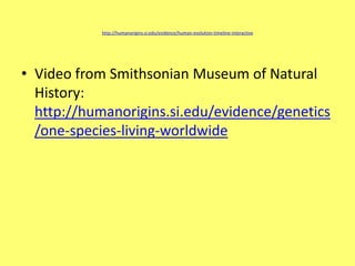 Human Origins and Development | PPT