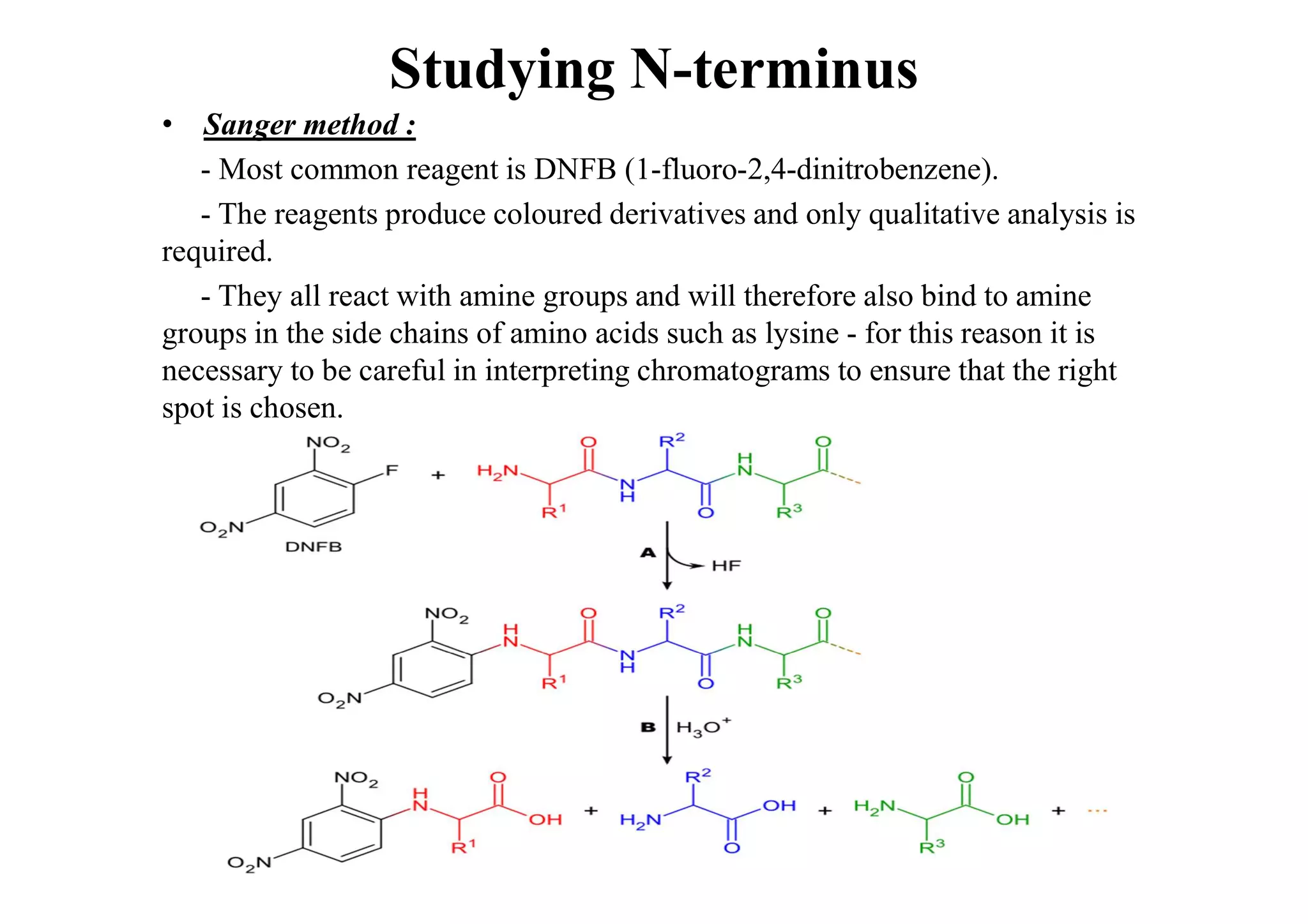 8-07_PROTEIN SEQUENCING.pdf