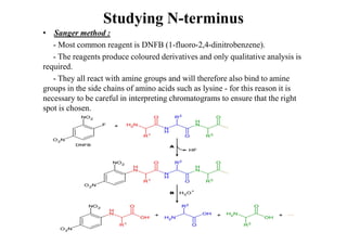 8-07_PROTEIN SEQUENCING.pdf