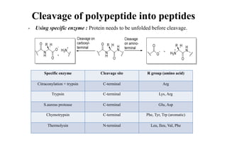 8-07_PROTEIN SEQUENCING.pdf