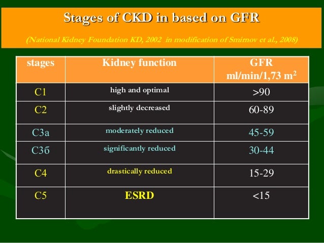 8-1. Progression of CKD to CRF. Vladimir Dlin (eng)
