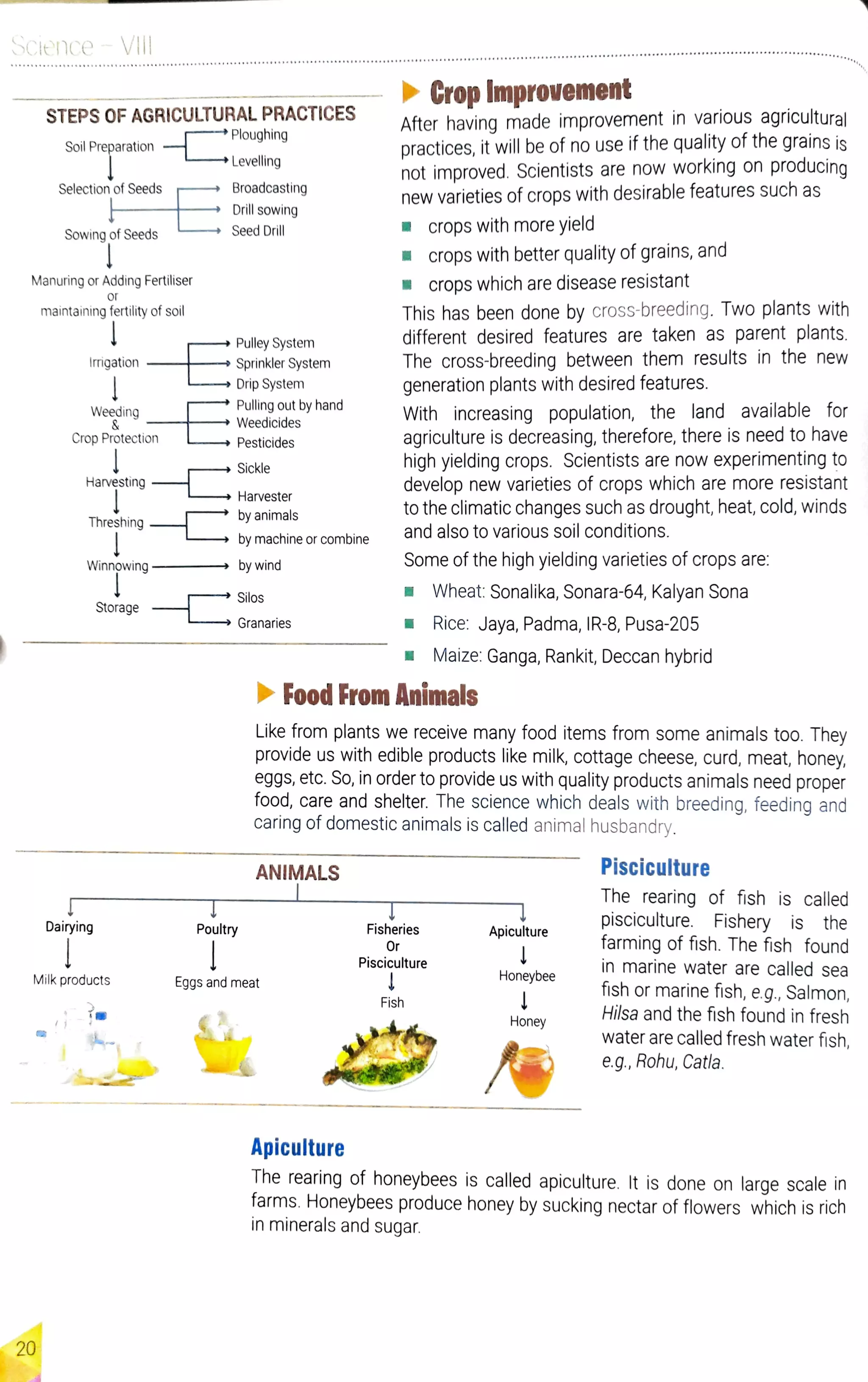 Crop Production and Management | PDF