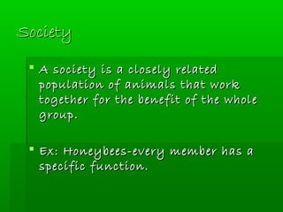 8 1-components of-an_ecosystem | PPT | Biological Sciences | Science