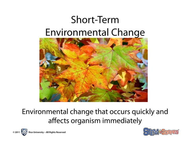Long and Short Term Enivornmental Changes | PPT