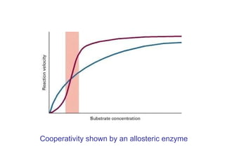 enzyme regulation | PPT