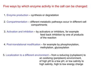 enzyme regulation | PPT