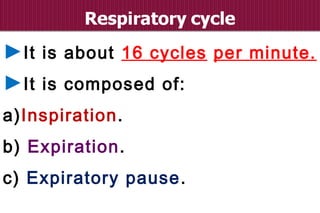 respiration | PPT