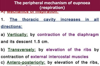 respiration | PPT