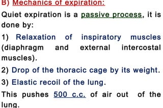 respiration | PPT | Free Download