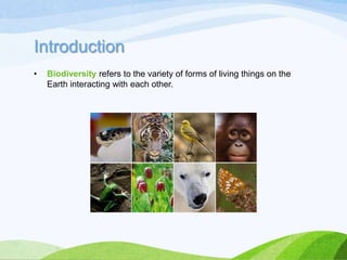 Biology Form 4: Chapter 8.4 Biodiversity | PPT