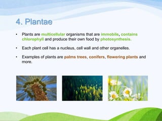 Biology Form 4: Chapter 8.4 Biodiversity | PPT