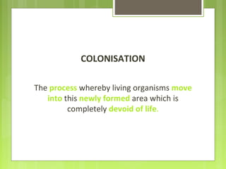 Biology Form 4: Chapter 8.2 Colonisation and Succession in an Ecosystem ...