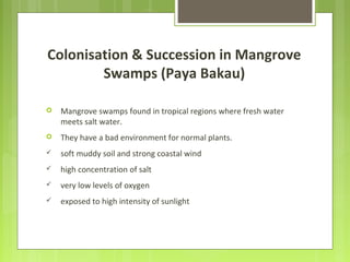 Biology Form 4: Chapter 8.2 Colonisation and Succession in an Ecosystem ...