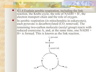 8.1 cell respiration | PPT