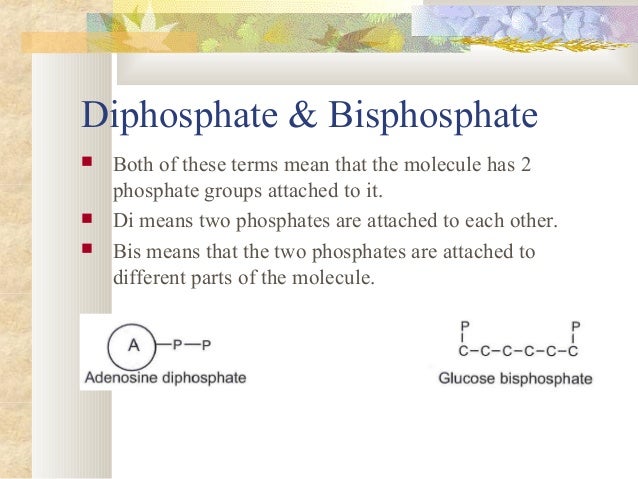 8.1 cell respiration