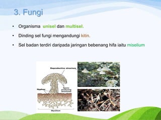 8.4 kepelbagaian | PPT