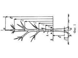 лекц 8 так | PPTX