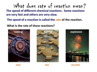 8.1 reaction rate | PPTX