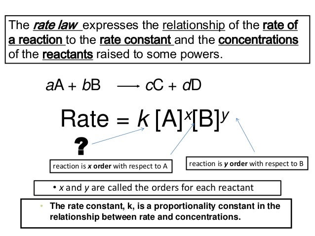 8 1 Rate Law
