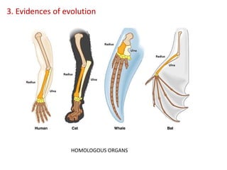 8. origin of life & evolution | PPTX