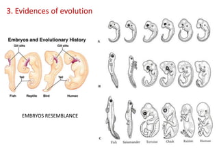 8. origin of life & evolution | PPT