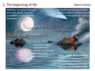 8. origin of life & evolution | PPTX