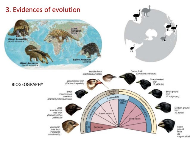 8. origin of life & evolution