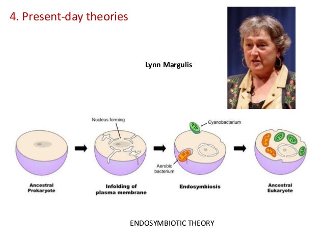 8. origin of life & evolution