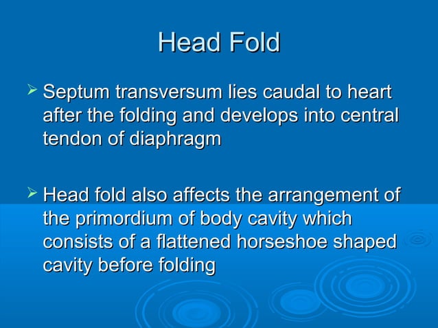 Folding of the Embryo | PPT