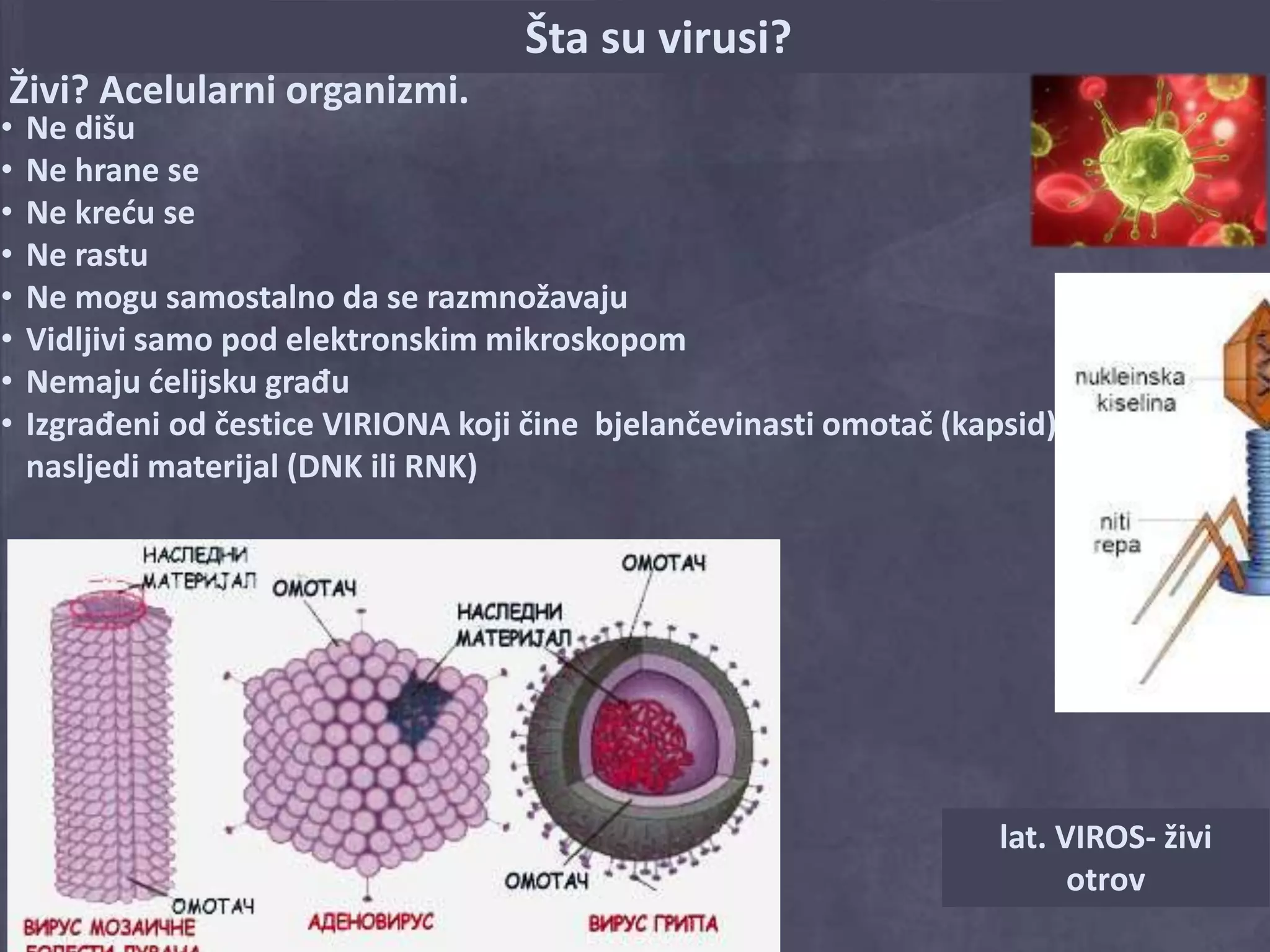 8. virusi | PPTX