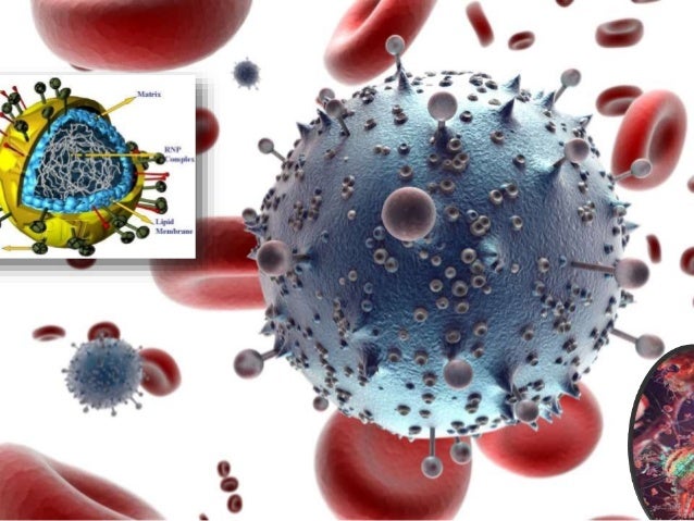 VIRUSI, osobine, najčešće bolesti koje izazivaju