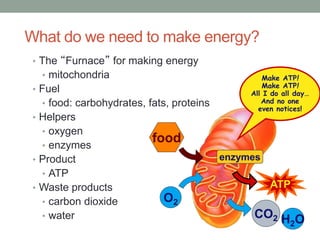 8.2 Cellular Respiration 2014 | PPT