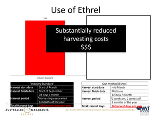 Bill Johnstone - Using ethrel for 10 consecutive years - grower ...