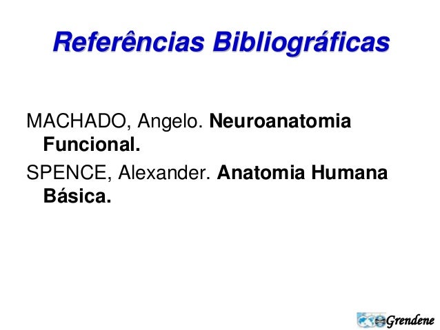 Anatomia Humana Basica Alexander Spence Pdf Converter Lasopaspeedy