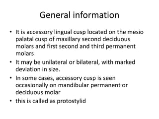 8.cusp of carabelli | PPT