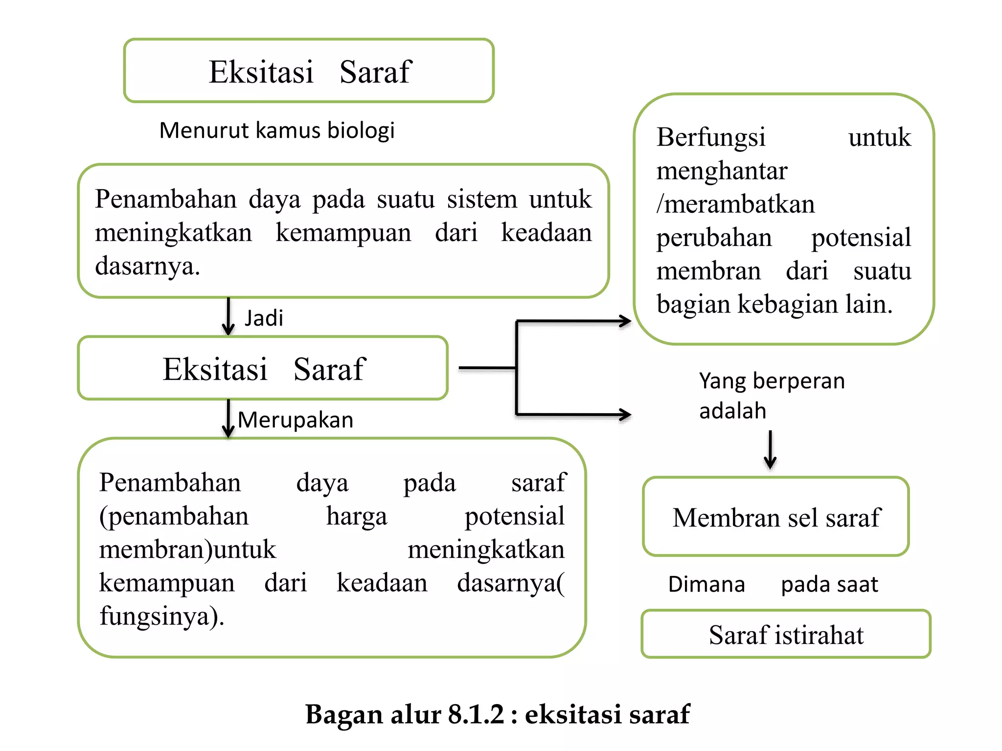 fisiologi sistem saraf | PPTX