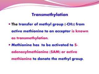 METHIONINE METABOLISM | PPTX
