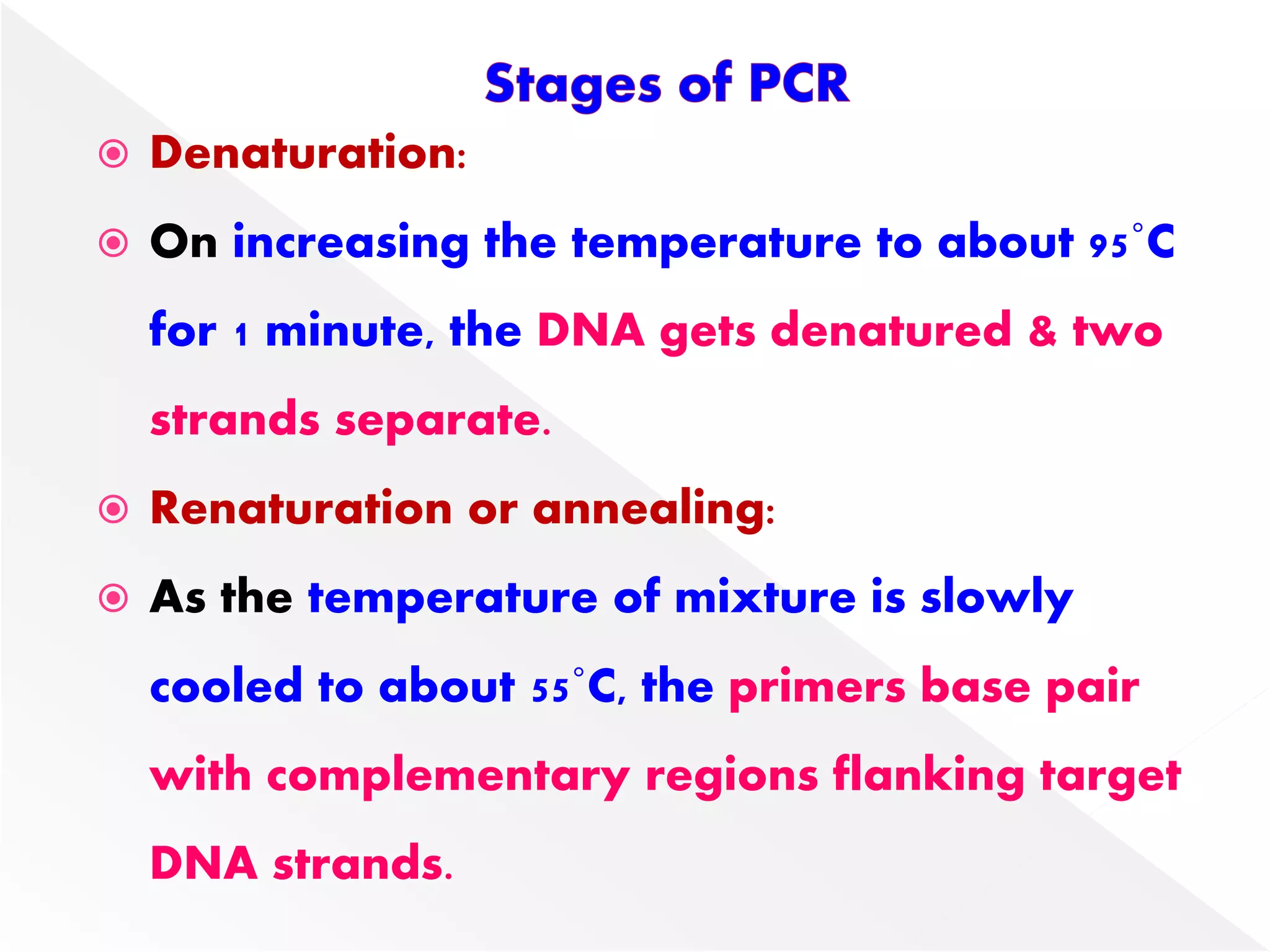 POLYMERASE CHAIN REACTION (PCR) | PPTX