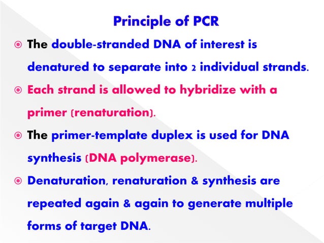 POLYMERASE CHAIN REACTION (PCR) | PPTX