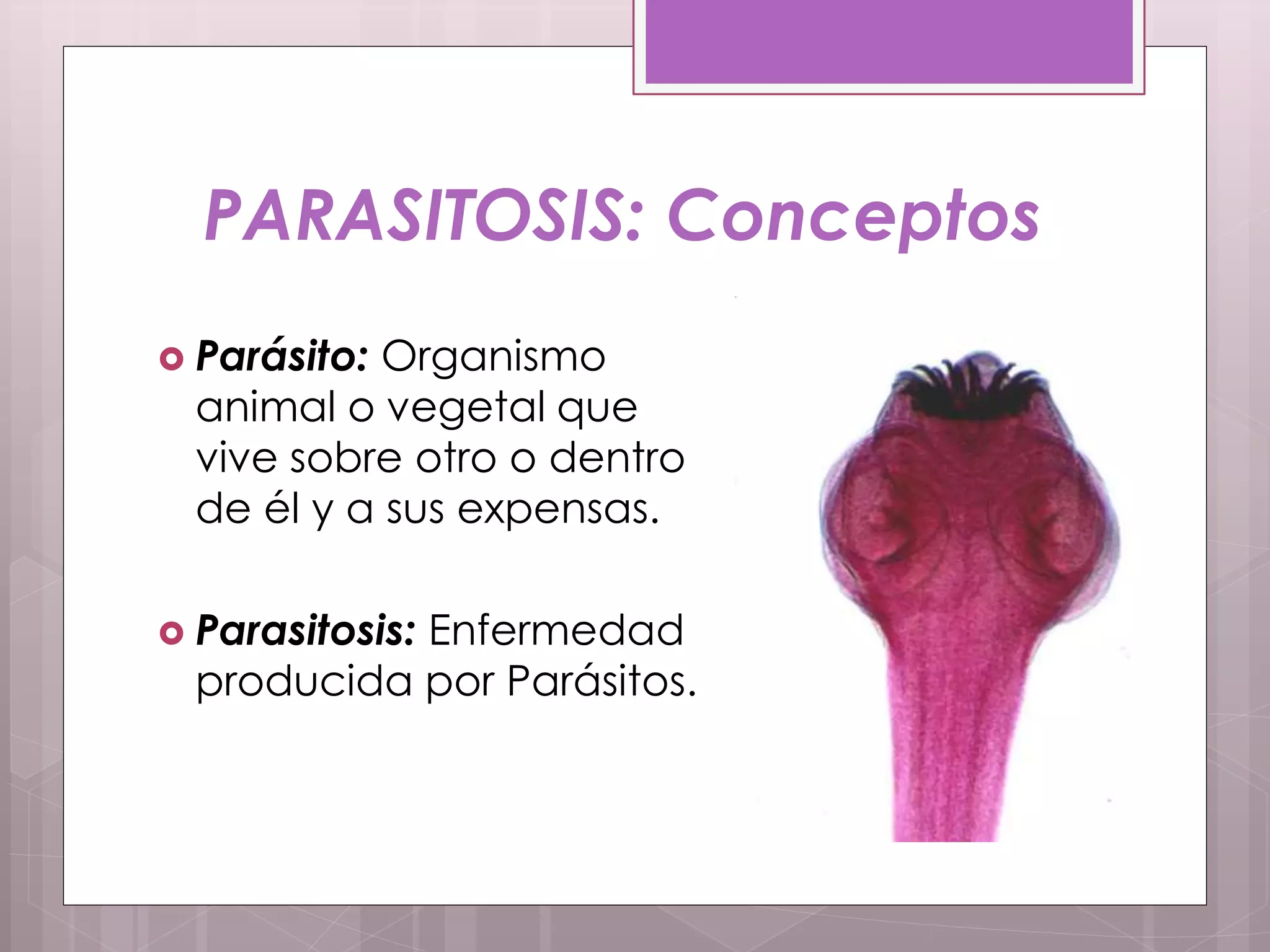 Parasitosis intestinales | PPTX