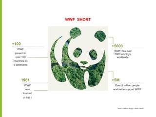 8. Georgi Stefanov WWF | PDF | Non-Profit Organizations | Industries