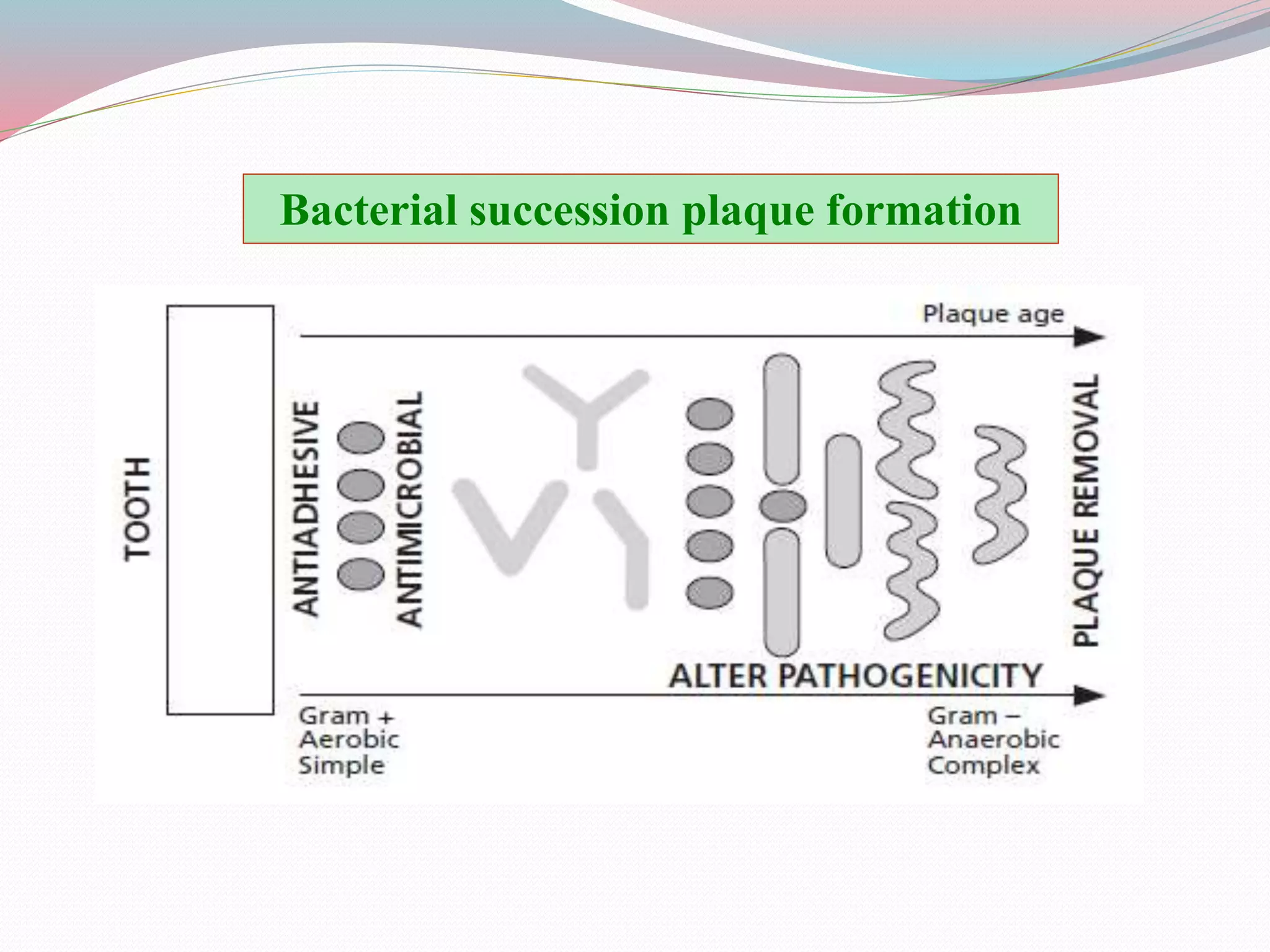 Chemical Plaque Control | PPTX
